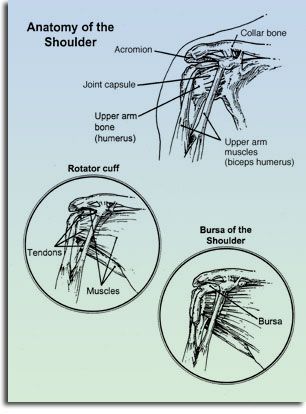Dr. Nolan, Orthopaedic Surgeon